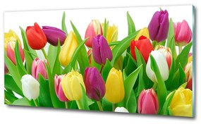 Wallmuralia Foto-obraz fotografie na skle Barevné tulipány 100x50