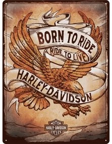 Postershop Plechová cedule: Harley-Davidson Born to Ride Ride to Live - 30x40 cm