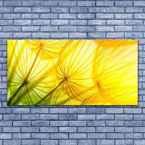 Plexisklo-obraz Pampelišky Květiny Příroda 120x60 cm