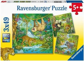 Puzzle ravensburger 051809 zvířata v džungli 3x49 dílků