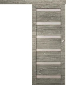 posuvné interiérové dveře na stěnu vasco doors EVORA model 5 Průchozí rozměr: 70 x 197 cm, Orientace dveří: Levé dveře, Dekor: Dub stříbrný