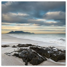 Obraz - Robben Island (30x30 cm)