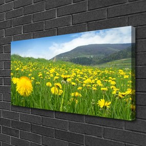 Obraz na plátně Pampeliška Příroda 120x60 cm