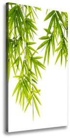 Wallmuralia Foto-obraz canvas do obýváku Bambus listí 50x100