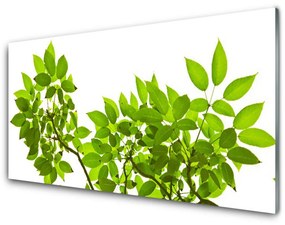 Plexisklo-obraz Větev Listy Rostlina Příroda 120x60 cm
