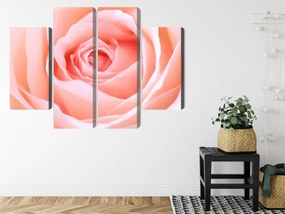 Vícedílný obraz Pastelová Růže Na 3D Makro Měřítku Nedostatek Nedostatek Přírodní plátno 160x120