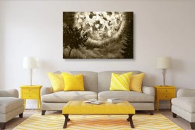 Obraz zářivý měsíc na noční obloze v sépiovém provedení Varianta: 120x80