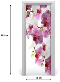 Fototapeta na dveře Orchidej 75x205 cm