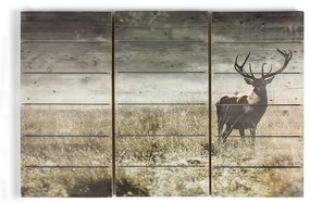 3-dílný dřevotisk 102501, Highland Stag, Wall Art, Graham Brown