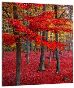 Obraz - Červený les (30x30 cm)