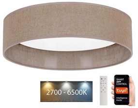 Brilagi - LED Stmívatelné svítidlo VELVET SMART LED/24W/230V Wi-Fi Tuya + DO