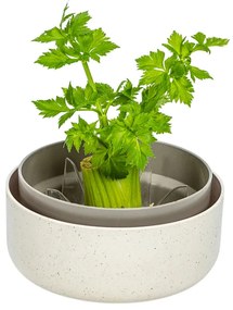 Klíčící miska Regrow, slonová kost s kávovou sedlinou
