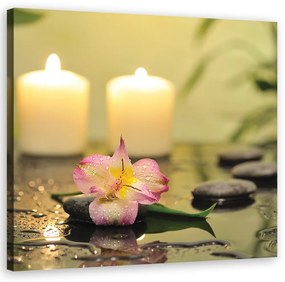 Obraz na plátně, Svíčky a orchidej zen - 50x50 cm