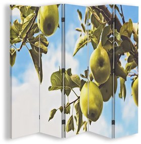 Ozdobný paraván Ovoce Listnatý strom - 180x170 cm, pětidílný, obustranný paraván 360°