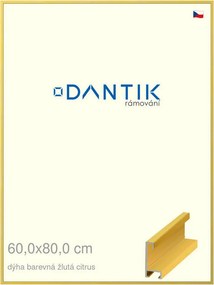 DANTIK rámeček 60x80 | ALU profil 6035 Dýha barevná žlutá citrus (Plexi Čiré)