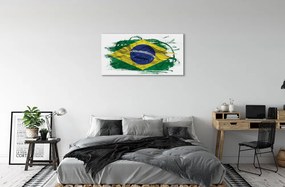 Obrazy na plátně brazilská vlajka 120x60 cm