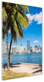 Wallmuralia Moderní foto-obraz akryl na stěnu vertikální Miami 50x100
