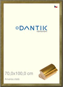 DANTIK rámeček 70x100 | ANIVERSA zlatá (Plexi Čiré)