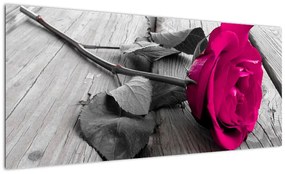 Růže fialová - obraz (100x40cm)