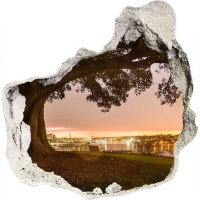 Wallmuralia Nálepka fototapeta 3D na zeď Starý strom 75x75 cm