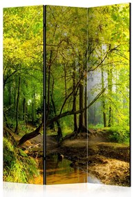 Paraván Forest Clearing Dekorhome 135x172 cm (3-dílný)