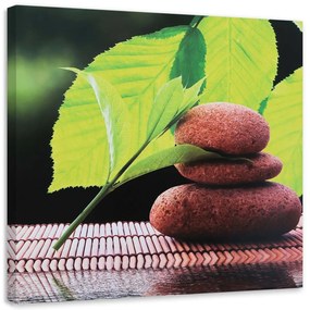 Obraz na plátně Lázeňské listy Zen Stones - 40x40 cm