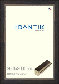 DANTIK rámeček 20x30 | TOMAS černá (Sklo Čiré)