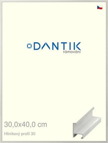 DANTIK rámeček 30x40 | ALU profil 6030 Dýha bílá (Plexi Čiré)