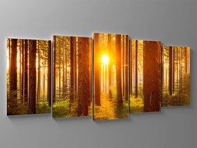 Liox Obraz rozbřesk v lese Rozměr: 250 x 110 cm