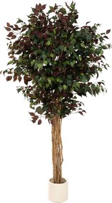 Dekorativní strom Burgundy v květináči 210 cm