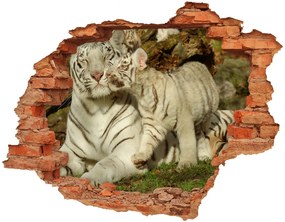 Wallmuralia Díra 3D fototapeta nálepka Tygři 90x70 cm