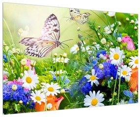 Obraz letních květů s motýlem (90x60 cm)