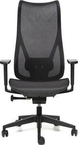 Kancelářská ergonomická židle Sego HARMONY — síť, černá Sego
