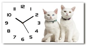 Wallmuralia Moderní skleněné hodiny na stěnu Bílé kočky 60x30 cm