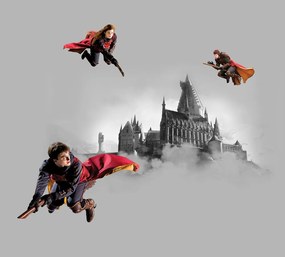 Textilní závěs Harry Potter FCSXL 6609 - 180 x 160 cm