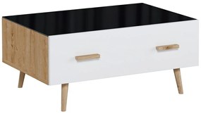 Brillo - konferenční stolek ST - dub ribeck/bílá