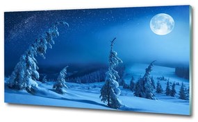 Wallmuralia Foto obraz skleněný horizontální Světlo měsíce 100x50