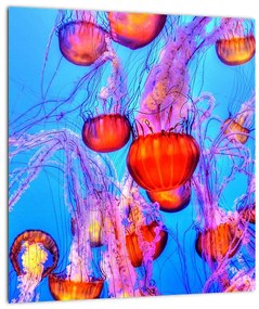 Obraz medúz v moři (30x30 cm)
