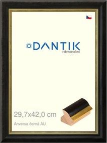 DANTIK rámeček 29,7x42 | ANIVERSA černá AU (Plexi Čiré)