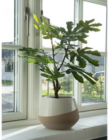 Umělá rostlina (výška 60 cm) Fig – House Nordic