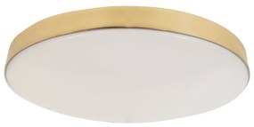Stropní LED svítidlo Maya, 1x LED 15w, 4000k, g