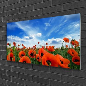 Obraz na skle Louka Máky Květiny 125x50 cm