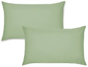 Perkálové povlaky na polštáře v sadě 2 ks 50x75 cm Easy Iron Percale – Catherine Lansfield