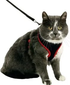 Flamingo Postroj a vodítko pro kočky černá/červená S