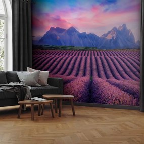 Fototapeta Pohled snů - krajina fialového pole levandule s nebem a horami