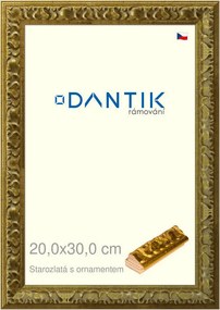DANTIK rámeček 20x30 | Starozlatá s ornamentem (Sklo Čiré)