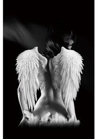 Obraz Angel 120 x 80 cm, černá / bílá