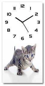 Wallmuralia Moderní hodiny nástěnné Malá kočka 30x60 cm
