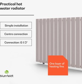 Blumfeldt Ontario, radiátor, 100 x 60, 1/2" boční připojení, montáž na stěnu, 681 W