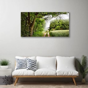 Obraz na plátně Stromy Stezka Příroda 120x60 cm